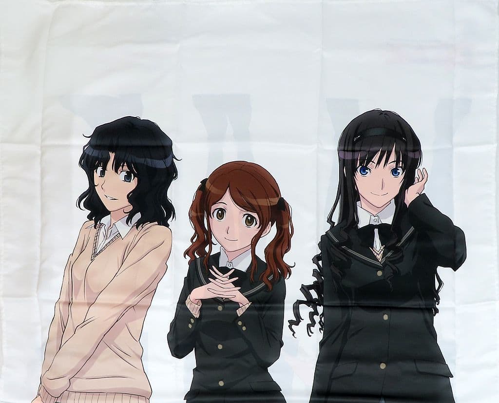 Body Pillow Cover / Sheets Nakata Sae & Tanamachi Kaoru & Morishima ...