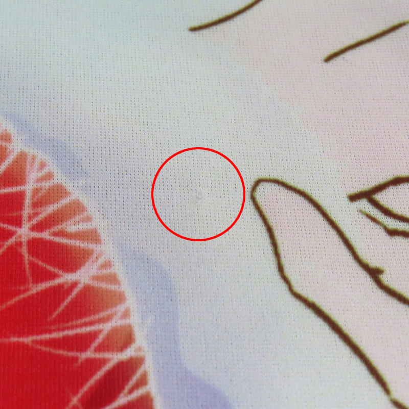 [Damaged Item] Emilia (Santa Ver.) Hug Pillow Cover "Re:ZeRo Starting ...