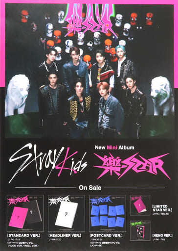 Ayen (Stray Kids) the music & movie master special issue (flyer) "CD ...
