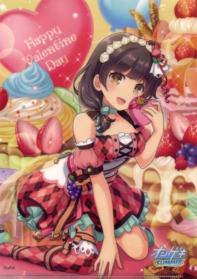 Saki Kashiwagi "Ongeki SUMMER original clear file" original goods present campaign 2nd | Goods ...